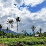 25 Best Things to do in Flores Island, Indonesia
