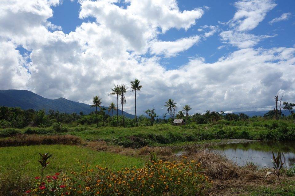 Lore Lindu National Park: Bada Valley Megaliths in Sulawesi, Indonesia