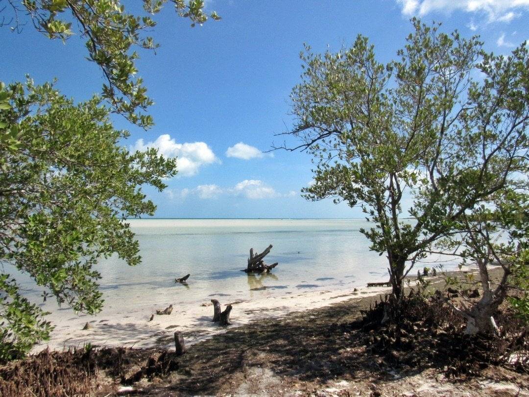 10 Best Things to do in Holbox, Mexico