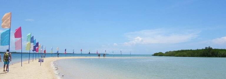 Honda Bay Tour and Island Hopping - DIY Guide