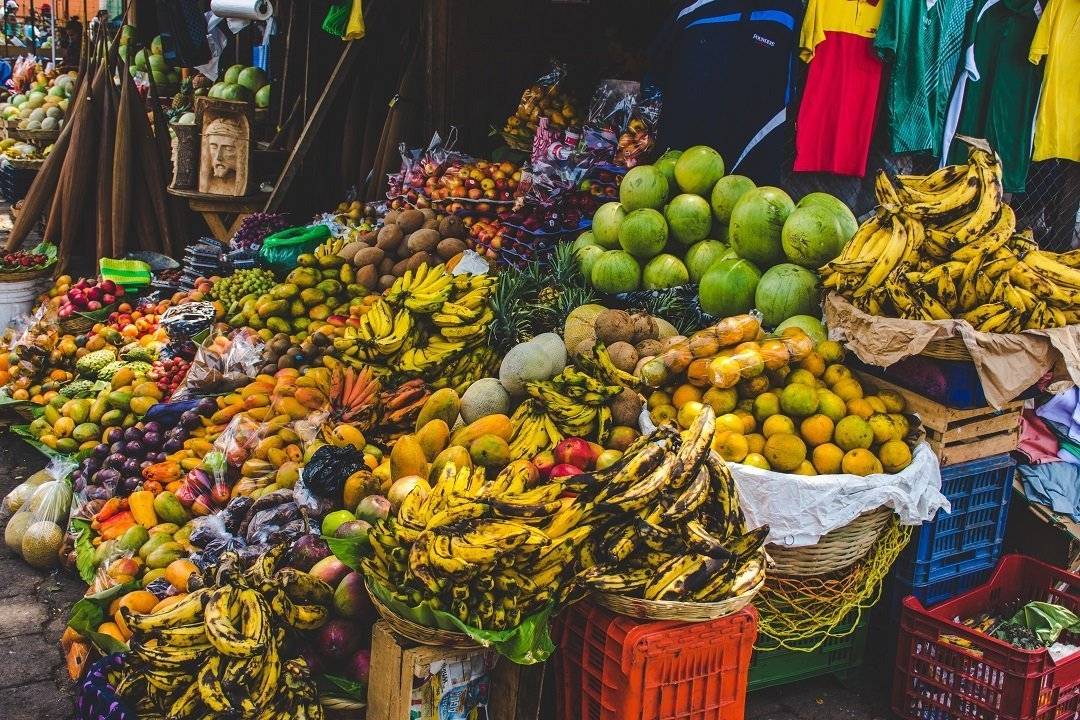 27 Best Things to Do in San Ignacio, Belize