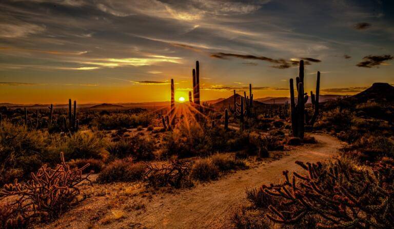 Top 10 Best Family Vacation Spots in Arizona