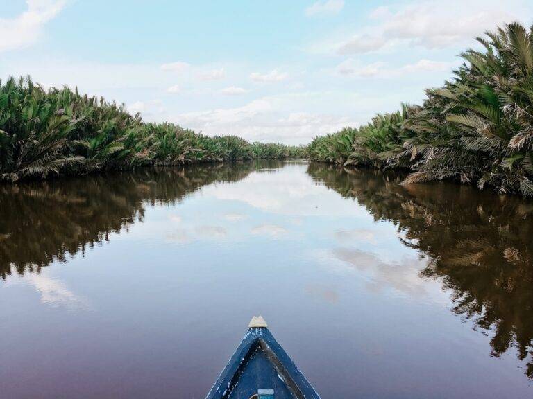25 Best Things to do in Kalimantan + Itinerary