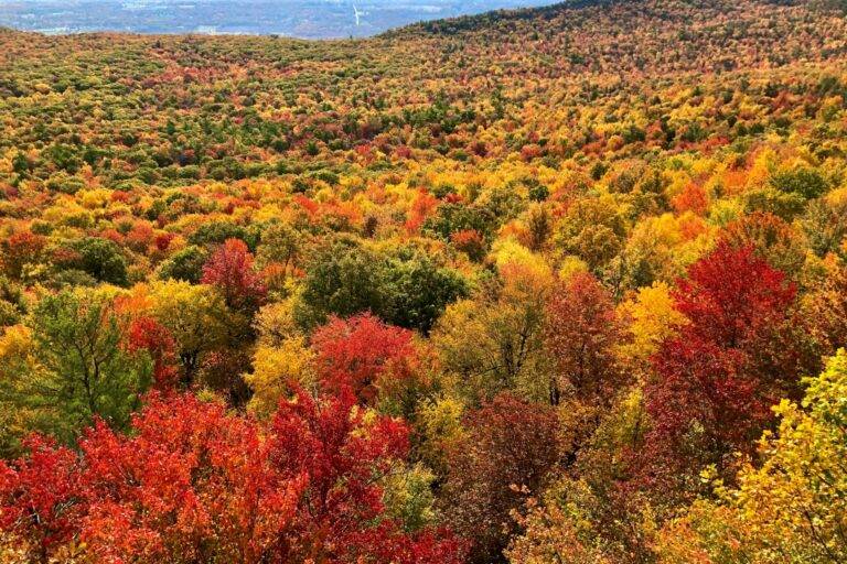 25 Best Places to Visit in the Fall in the USA for a Fall Getaway or ...