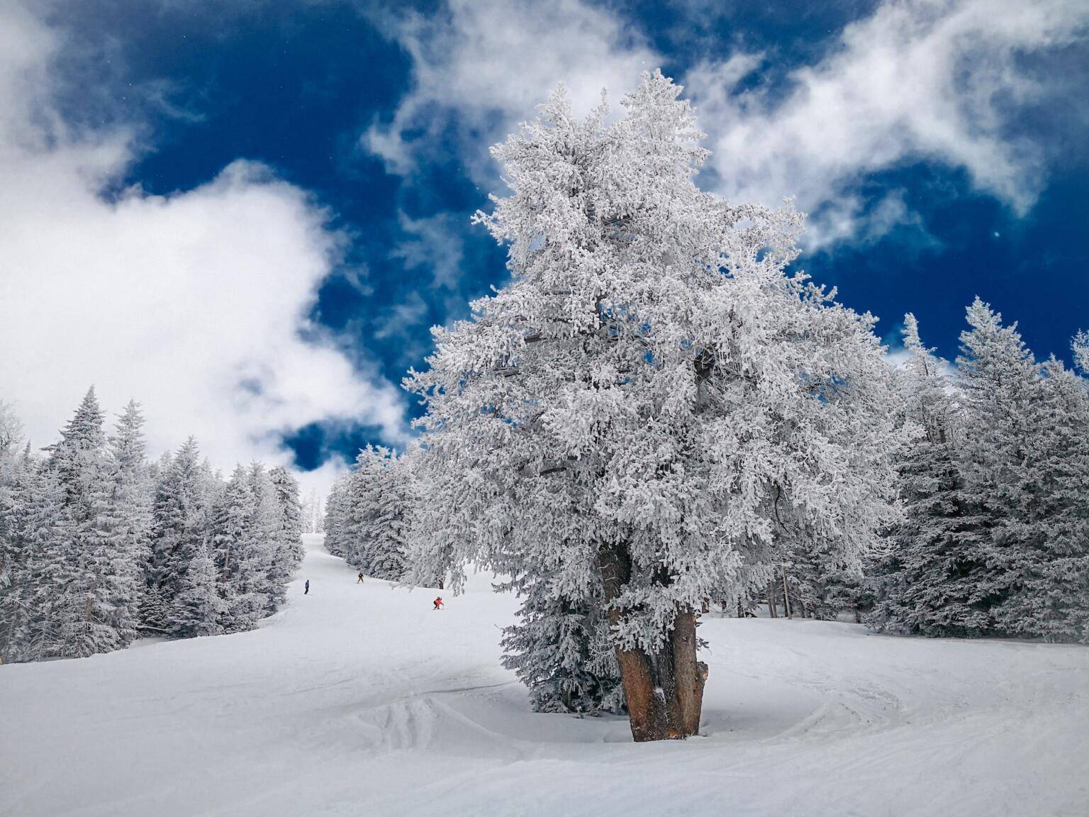 15 Best Arizona Winter Vacation Spots