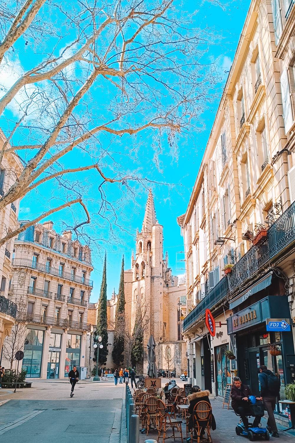 Best Things to Do in Avignon, France