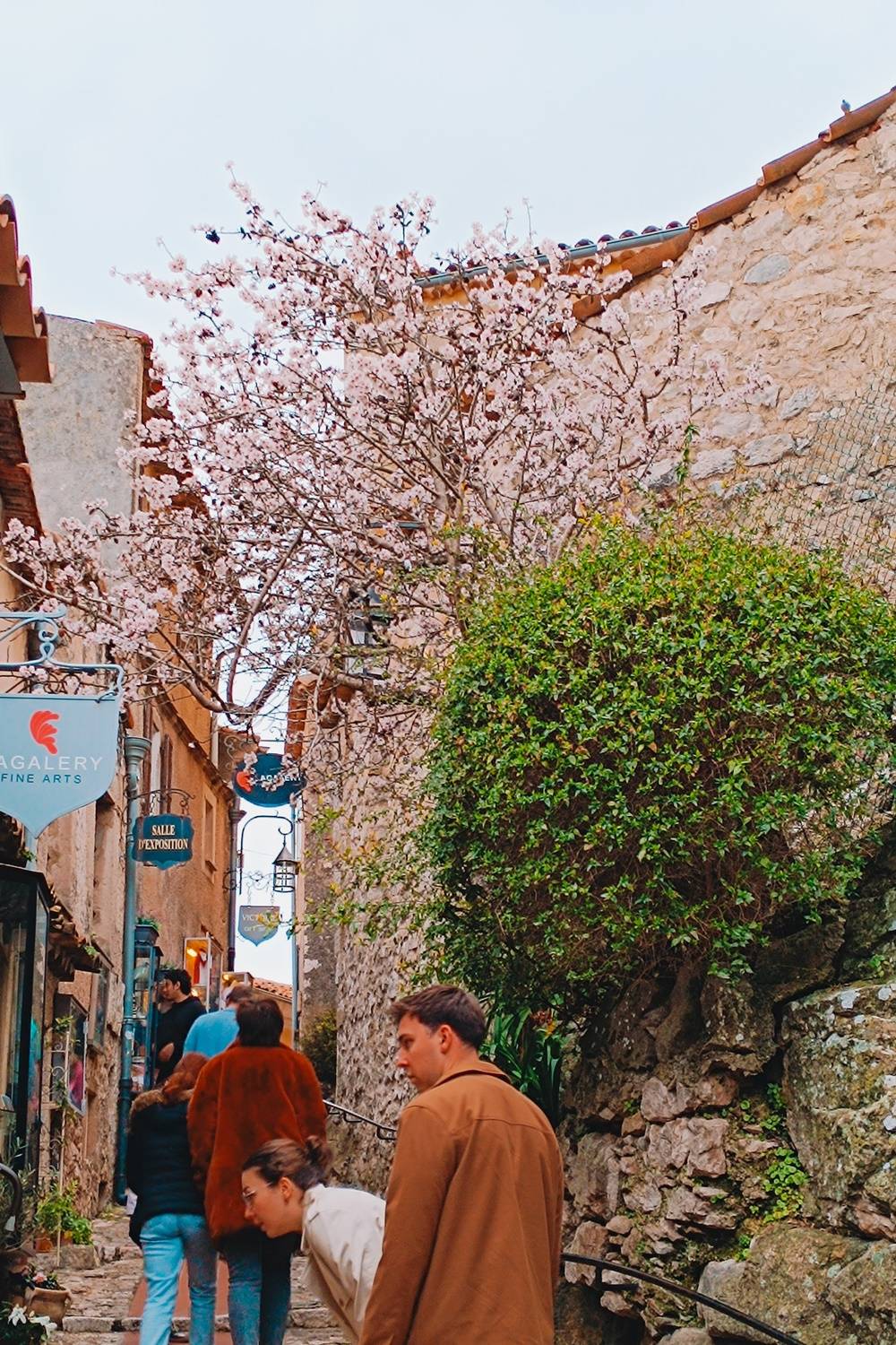 Èze Travel Guide: Best Things to Do in the French Riviera’s Most ...