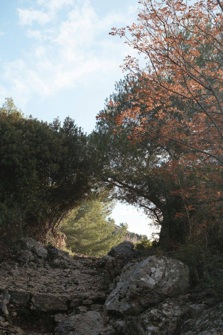 Èze Travel Guide: Best Things to Do in the French Riviera’s Most ...