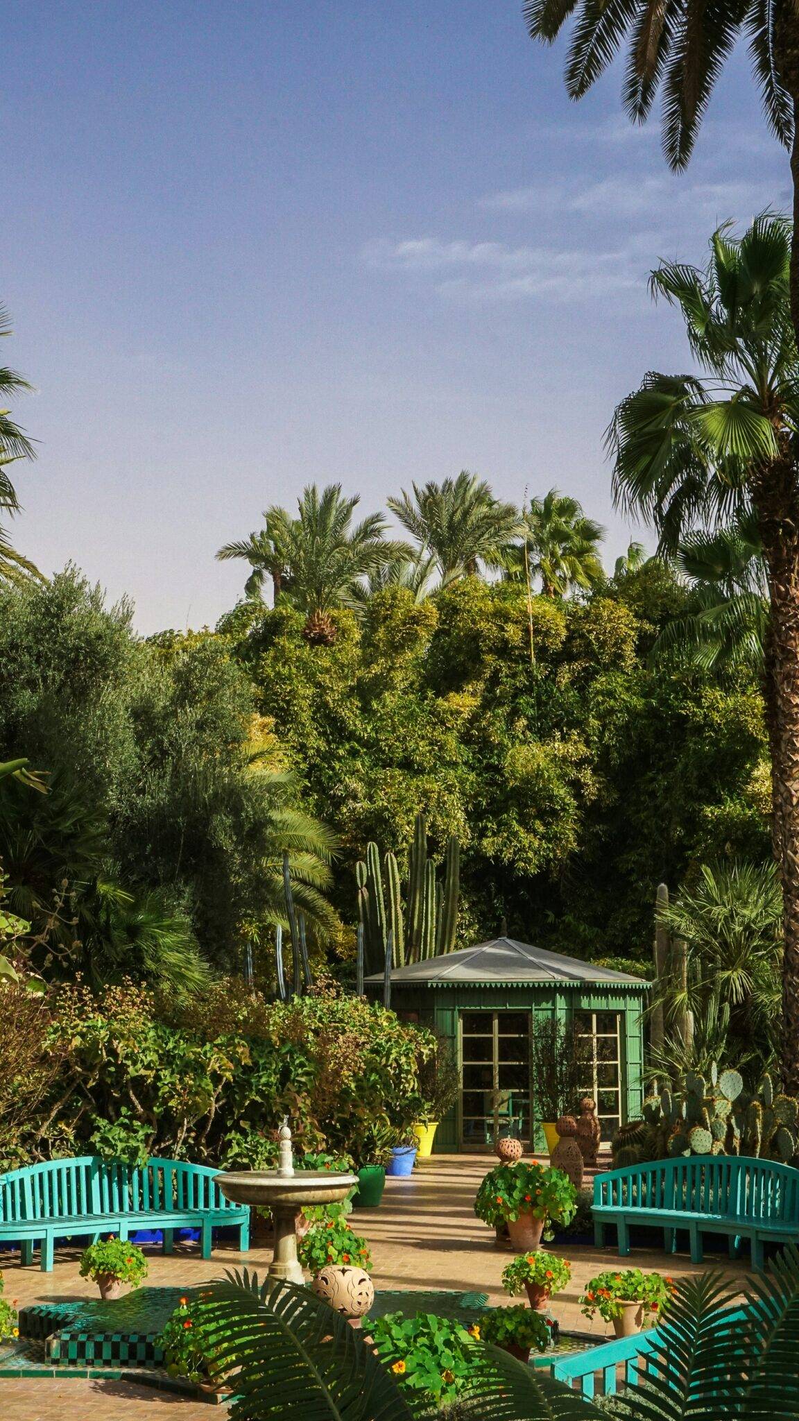 17 Best Things to Do in Marrakesh: What I Loved (and What to Skip)