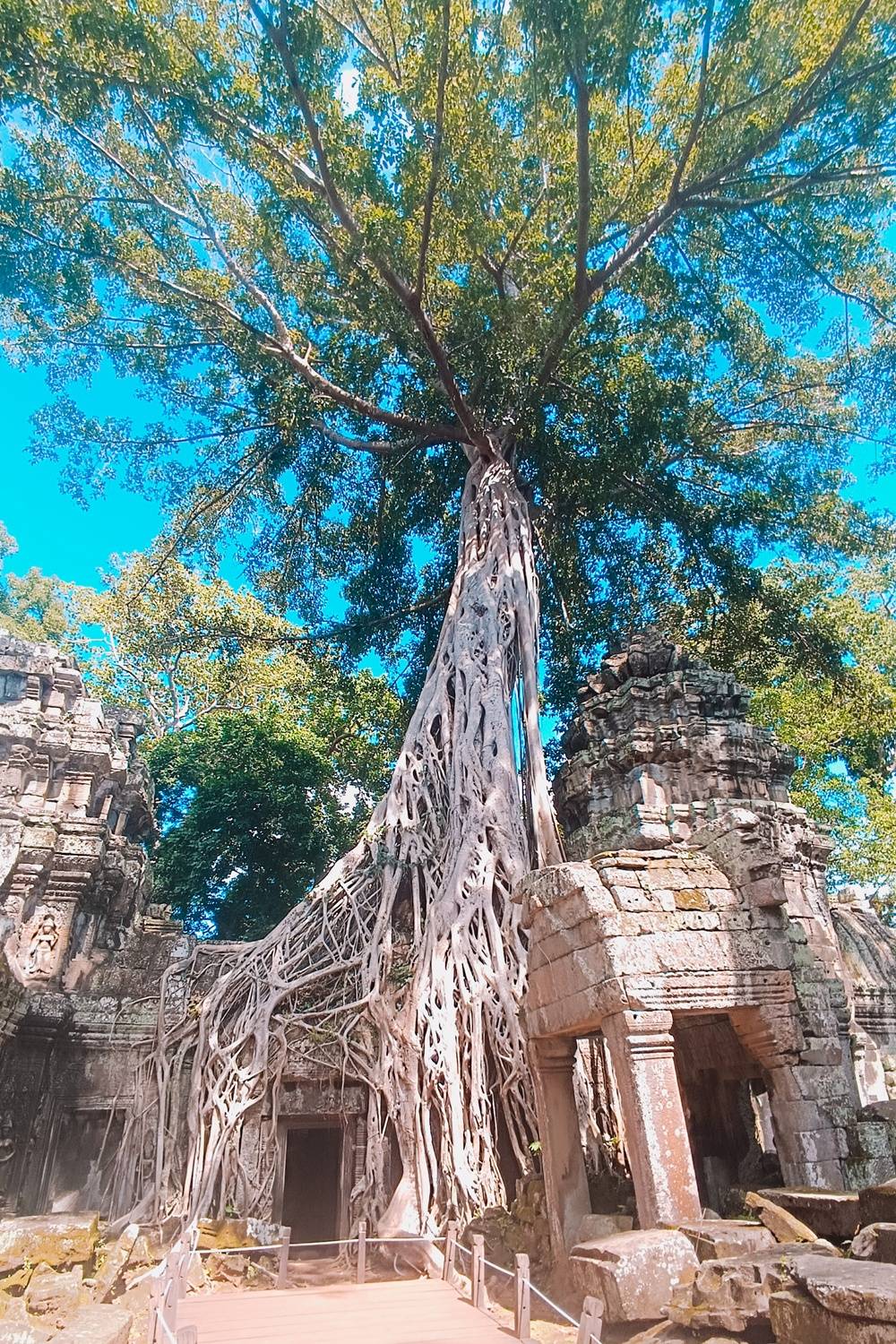 Visiting Angkor Wat: A Complete Travel Guide