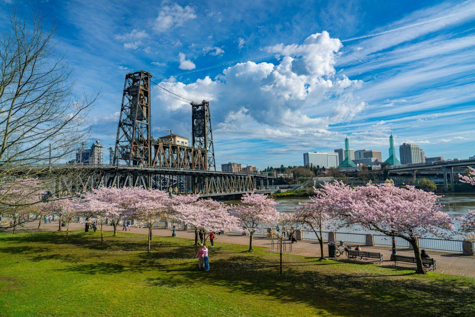 10 Best Places in the US to See Cherry Blossoms